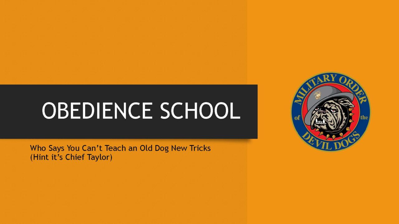 Obedience School Overview | Military Order of the Devil Dogs